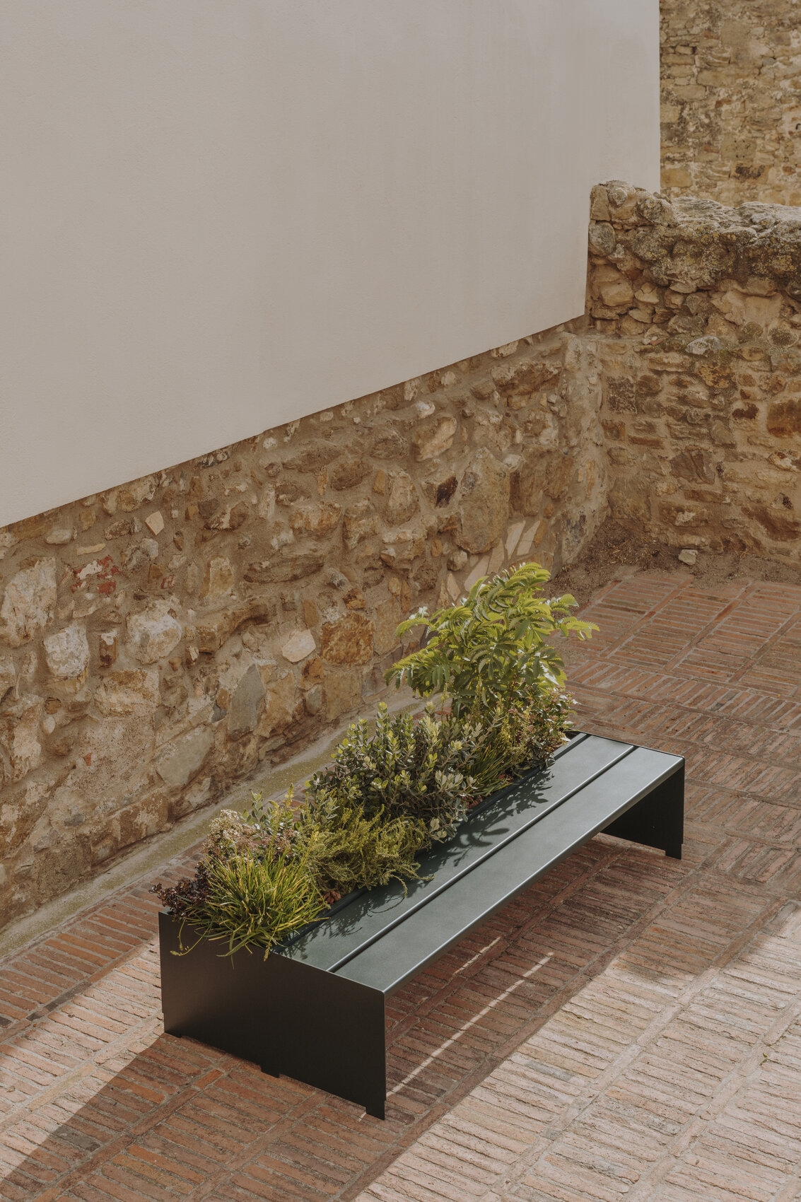 Nature in the City - Urbidermis