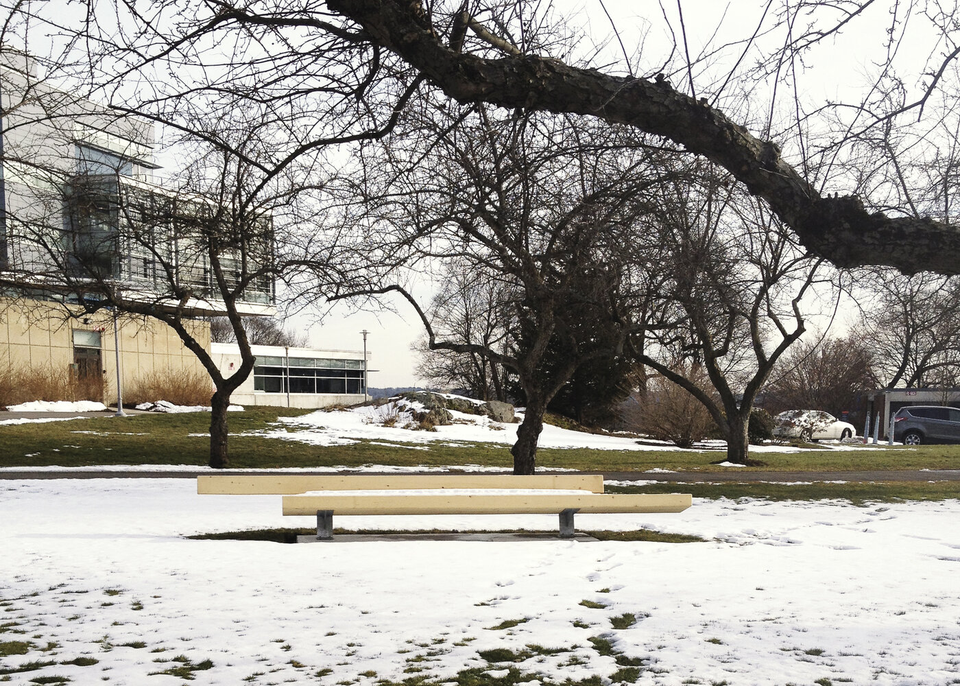 Brandeis University - Urbidermis