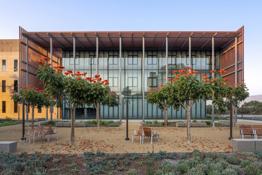 Projects - Urbidermis