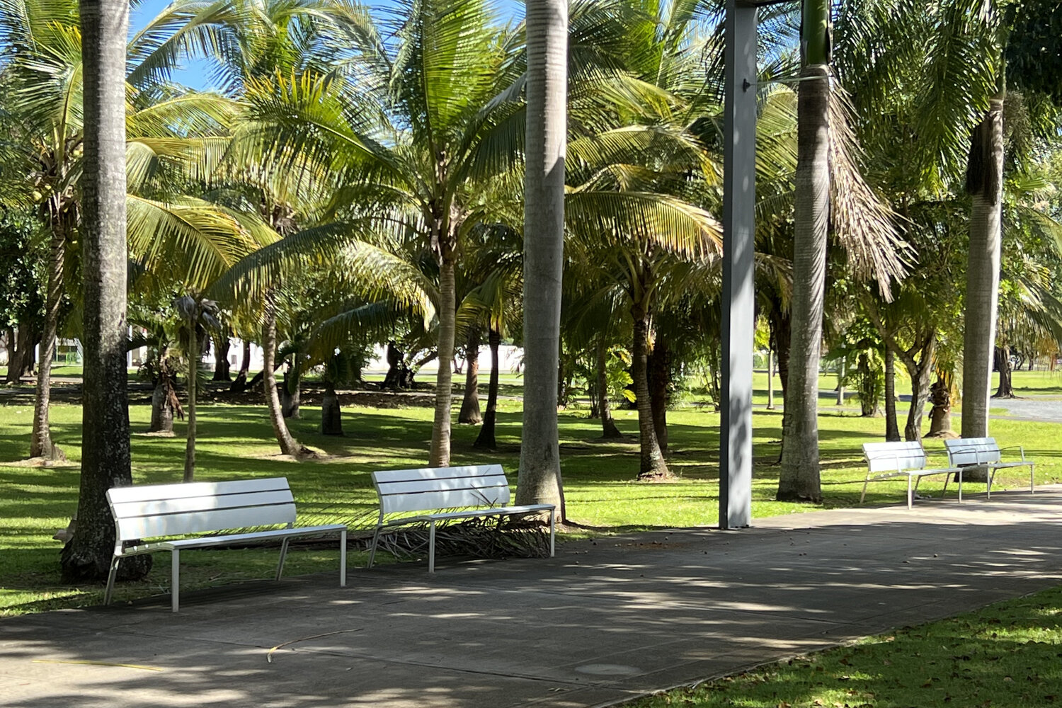 Luis Muñoz Marín Park - Urbidermis
